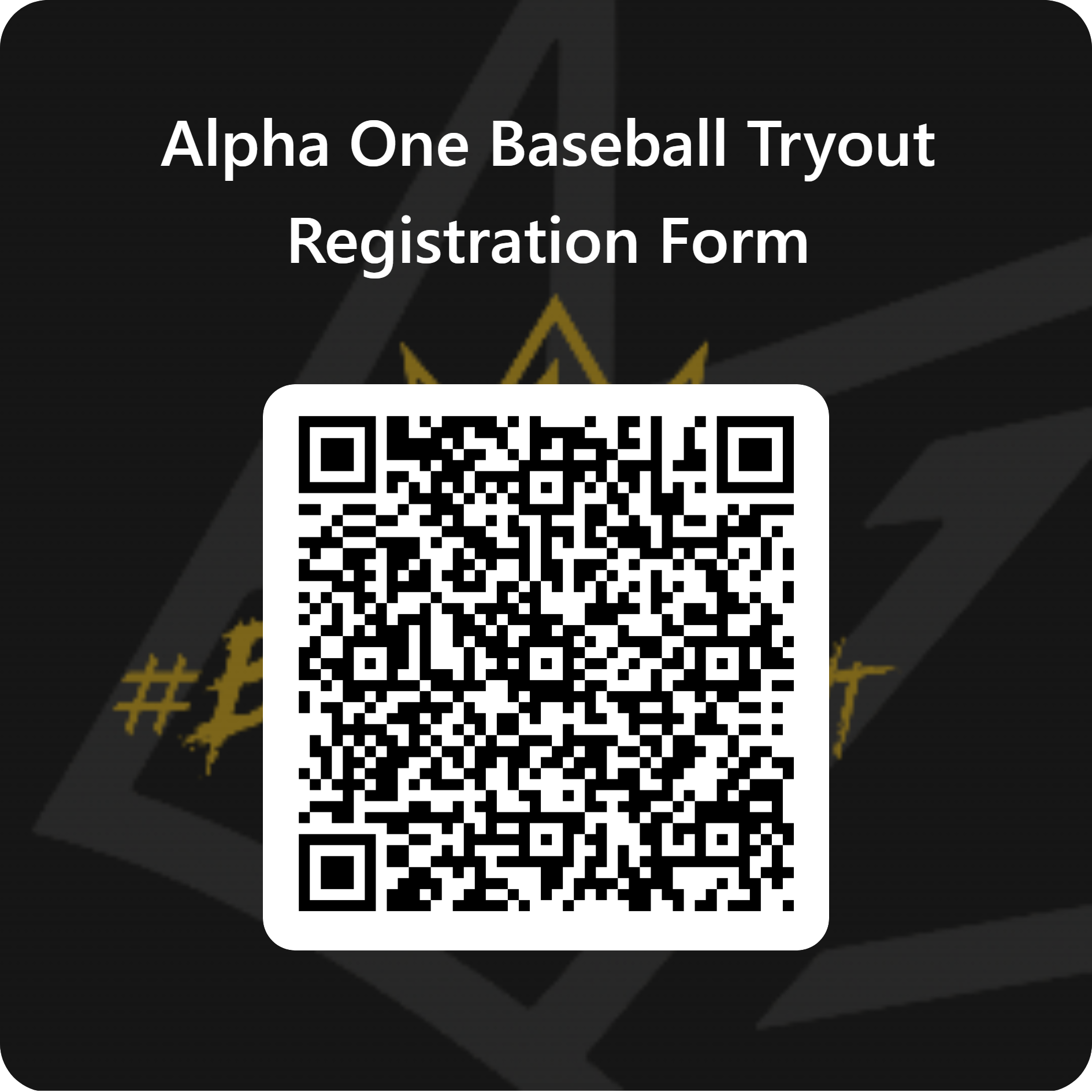 Alpha One Baseball – Alpha One Baseball aims to create a fun ...